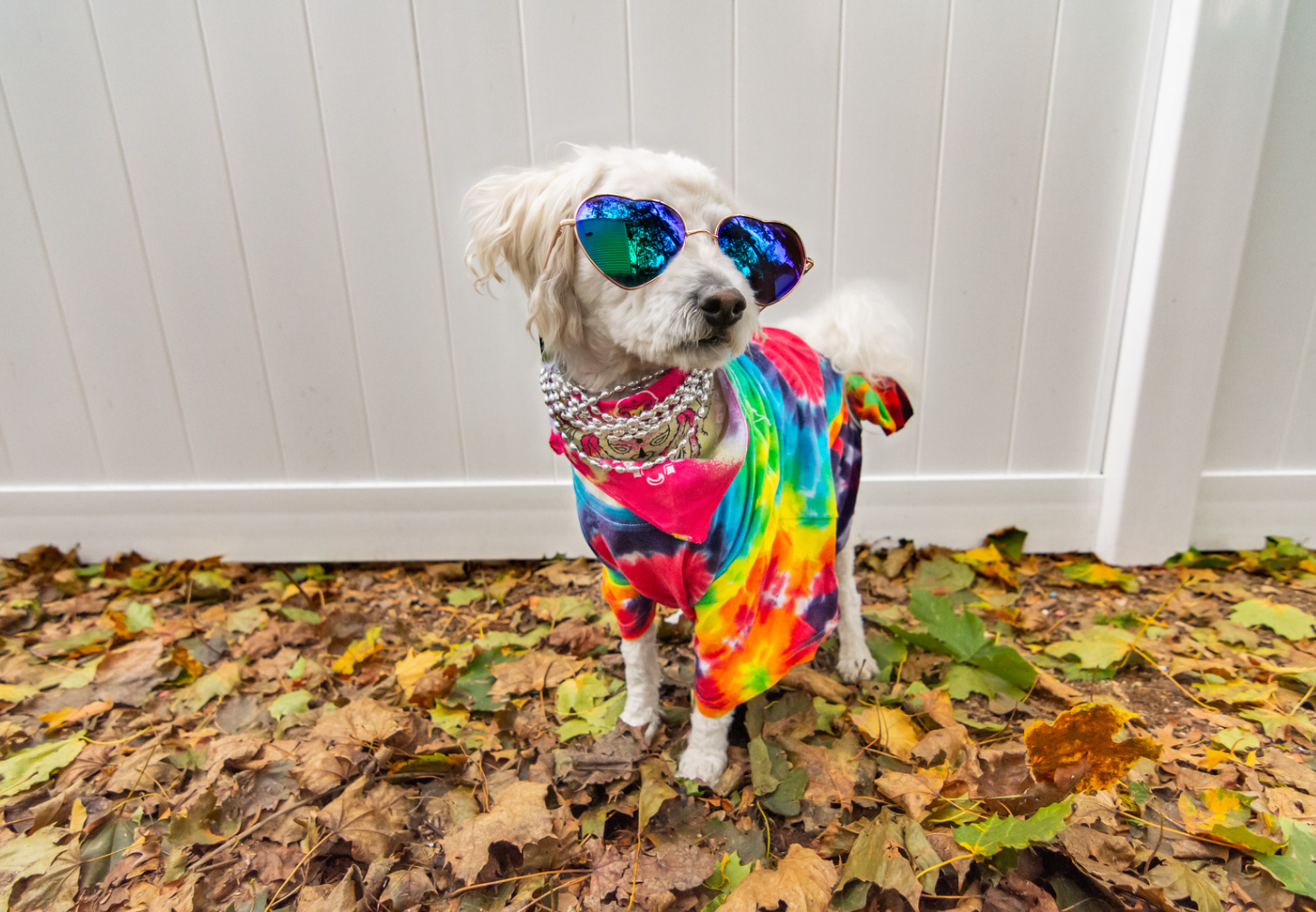 Unconventional Characters Taking Over Social Media